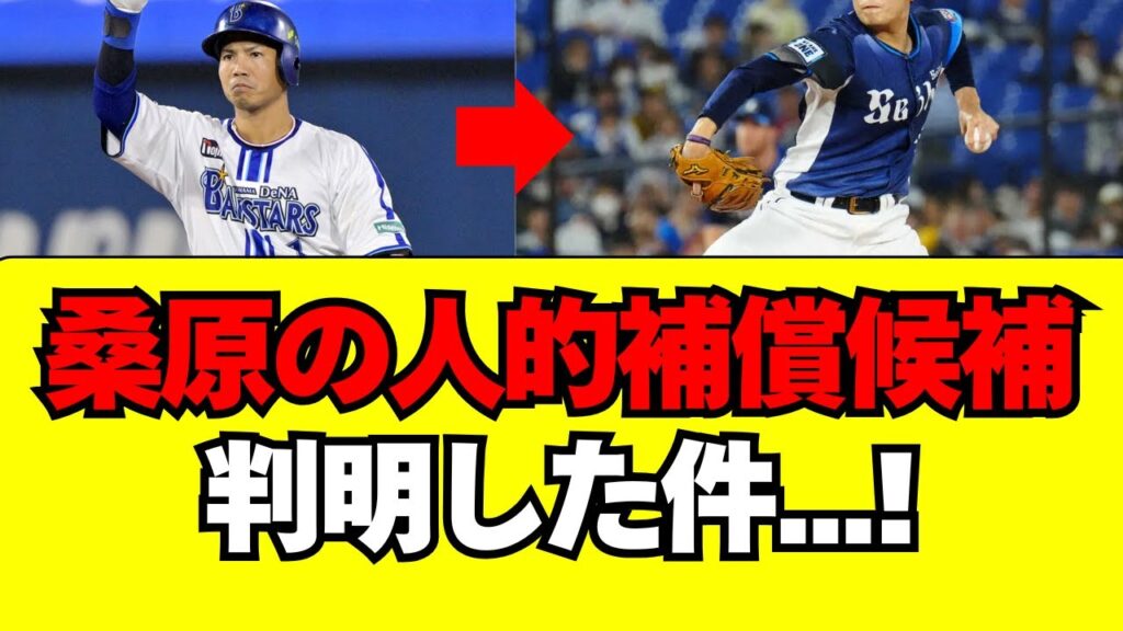 【DeNA】FA桑原の人的補償候補が判明・・・【西武】 | 野球動画速報